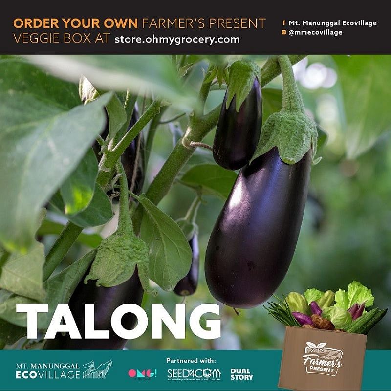 Farmer’s Present: Farm-to-table made easier