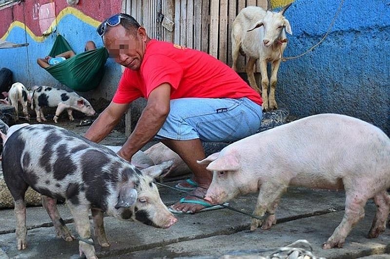 107 hog raisers gitabangan