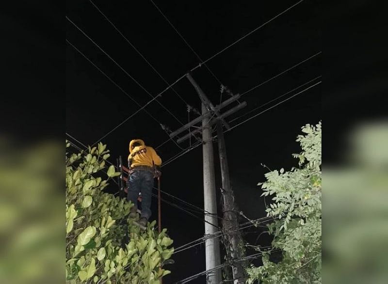 Noceco, Noneco power rates drop; Ceneco up