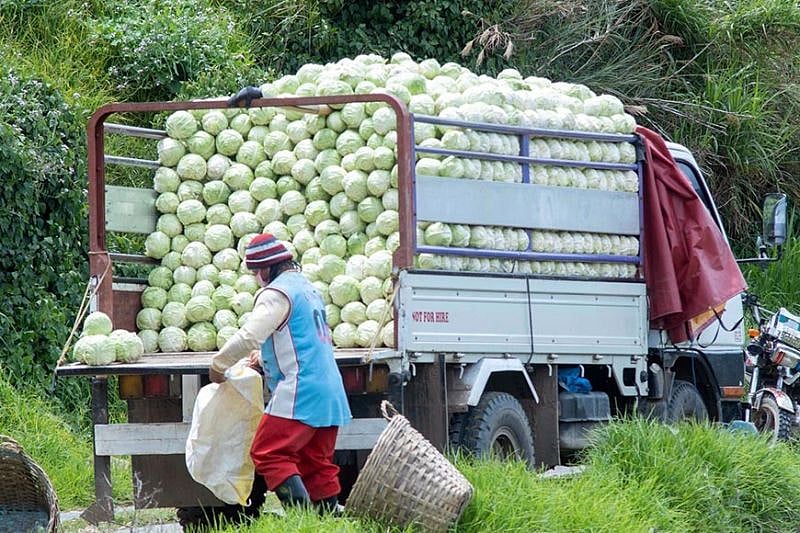 Farming in Benguet