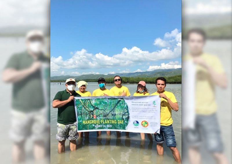 Mandani Bay plants 36,000 mangroves in Carcar