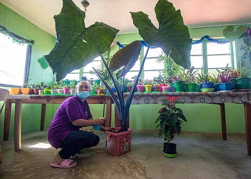 Galyang displayed in a restaurant