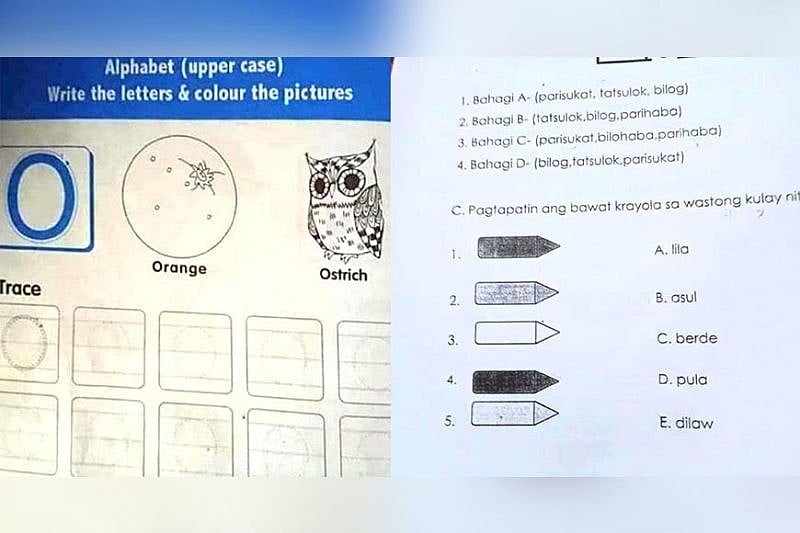 DepEd-Davao: Report module errors, don't post on social media