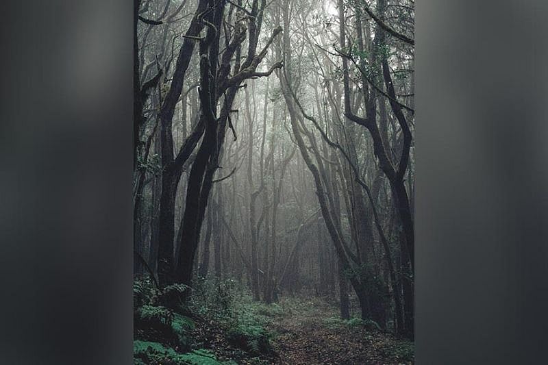What happened to the 'Aswang?''