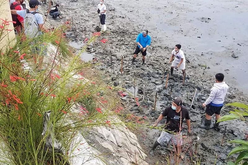 Over 2,000 mangroves planted at Iloilo River