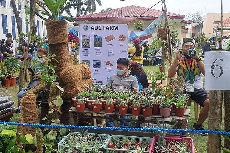 Aklan agriculture office institutionalizes 'plantito' industry