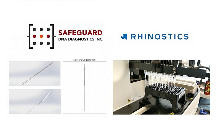 Rhinostics dry collection swabs to be used in Safeguard DNA Diagnostics ...