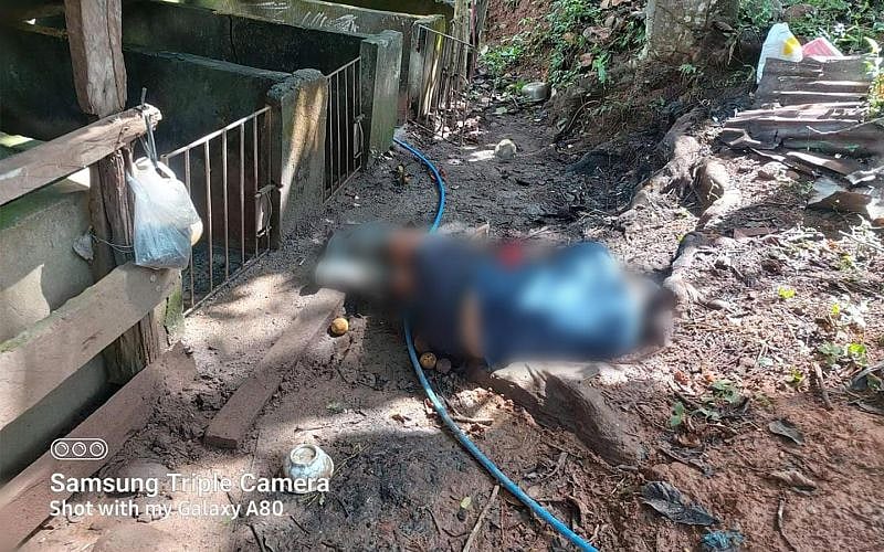 Barangay captain, farmer shot dead