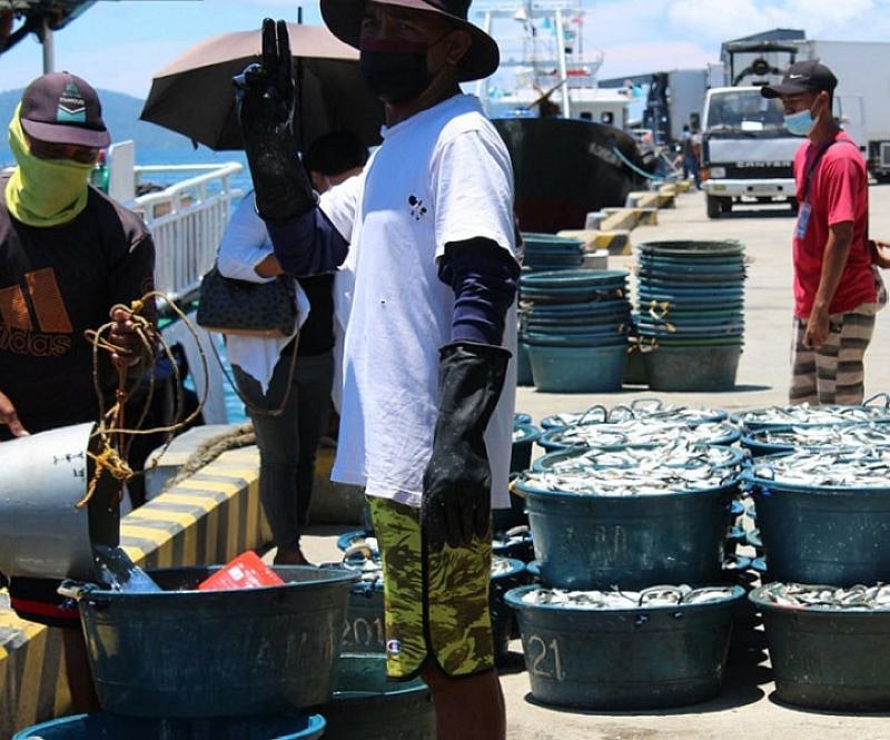 Zamboanga fish port logs highest fish unloading volume