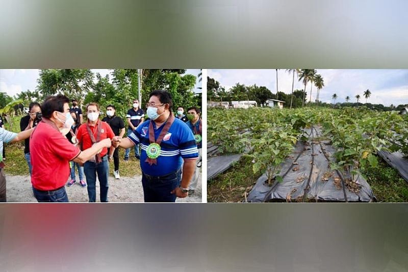 Support for 'Buhay sa Gulay' project lauded