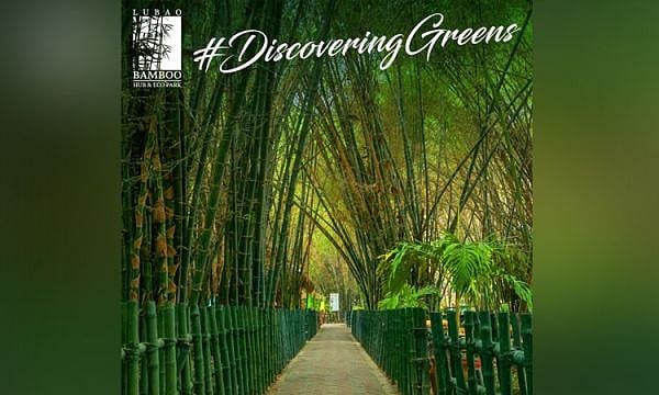 Lubao Bamboo Hub slope protection completed