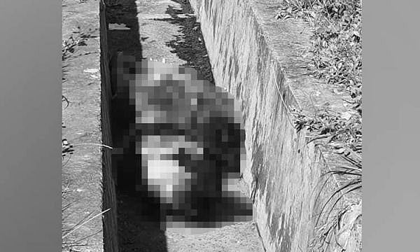 2 murder victims found in Aloguinsan, Cebu identified