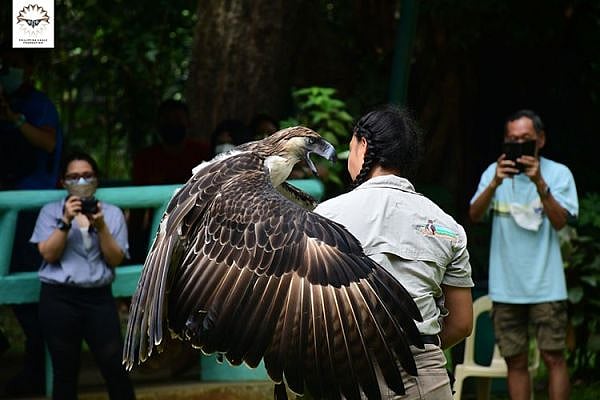 Sacred Project: Protecting Philippine Eagles and Indigenous Communities ...