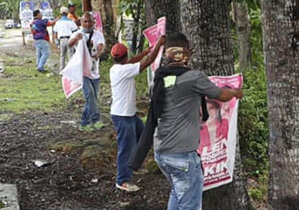 Campaign posters placed on trees removed