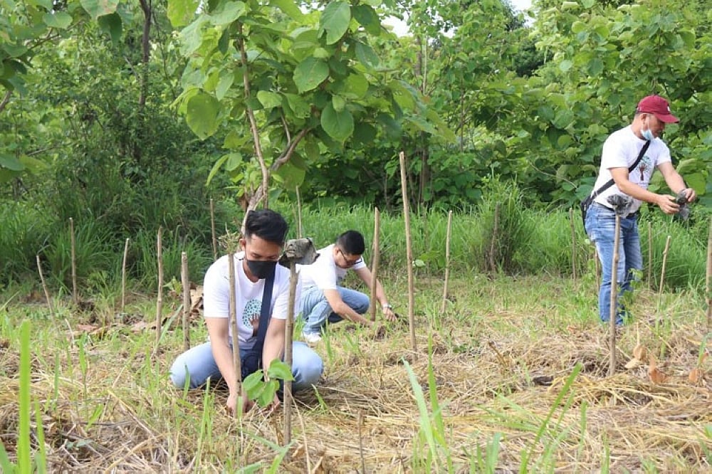 2,000 government employees join DENR tree planting campaign