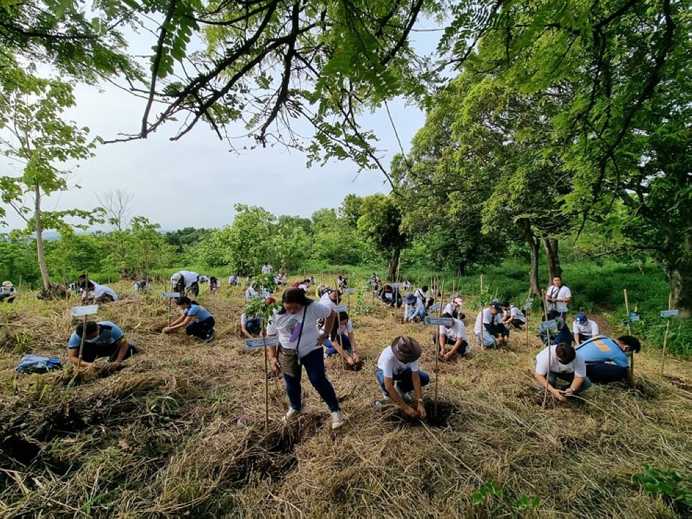 Penro Pampanga plants 1,000 trees in Arayat