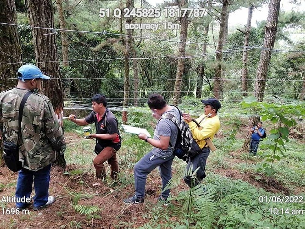 Baguio tags 5,000 pine trees being preserved at Busol watershed