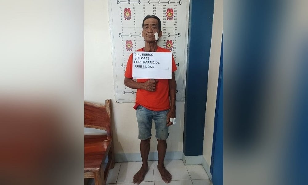 Farmer faces parricide charges after hacking son to death