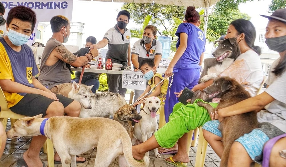358 ka mga iro, iring nabakunahan atol sa 12th Asong Pinoy Day