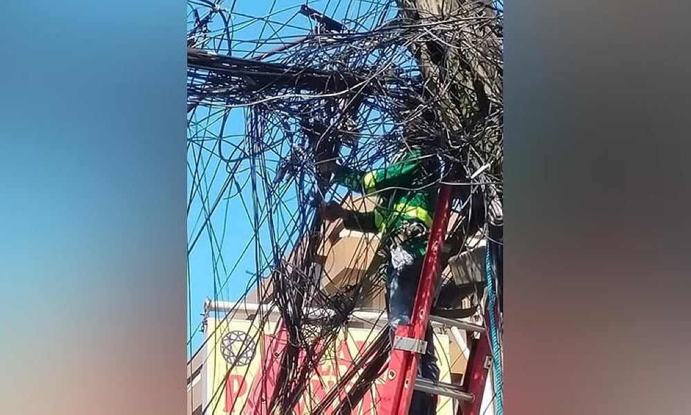 Albee issues order to strictly enforce anti-fencing law