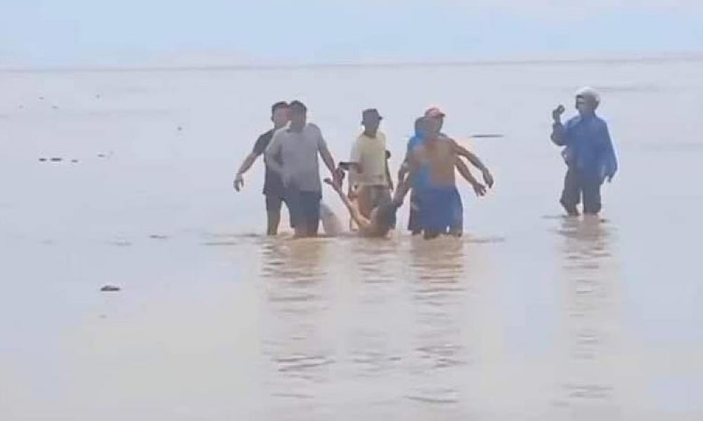 Nanglaba naatlan og baha ug gianod