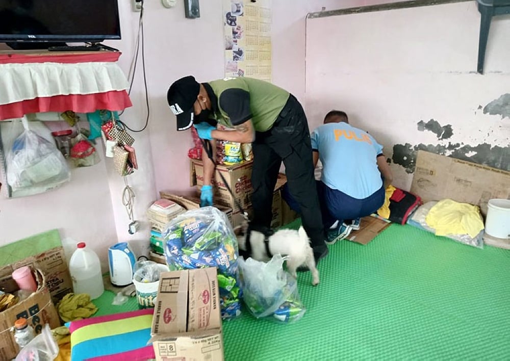 BJMP Carcar greyhound operation yields no contraband