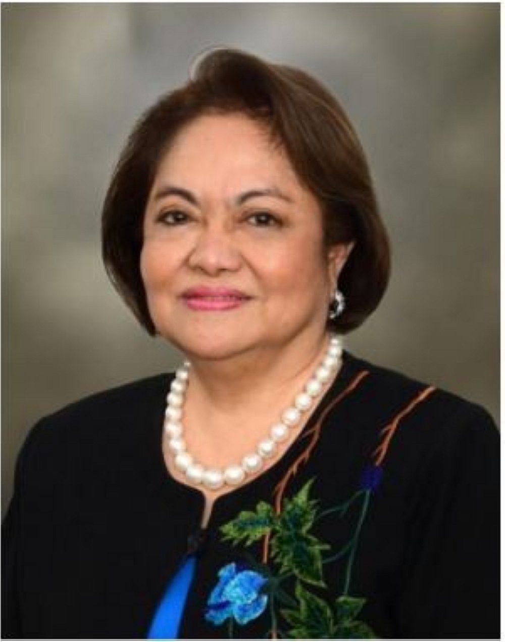 Marcos appoints ex-ERC chief as new CDC president