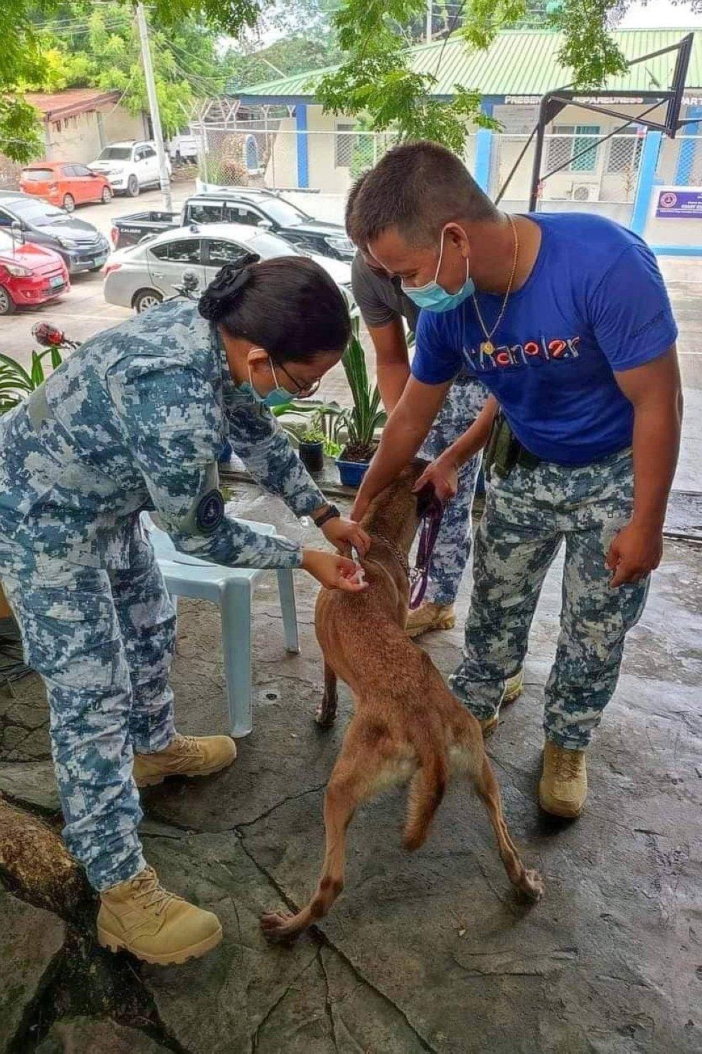 Coast Guard K9 academy to rise in Mabalacat City