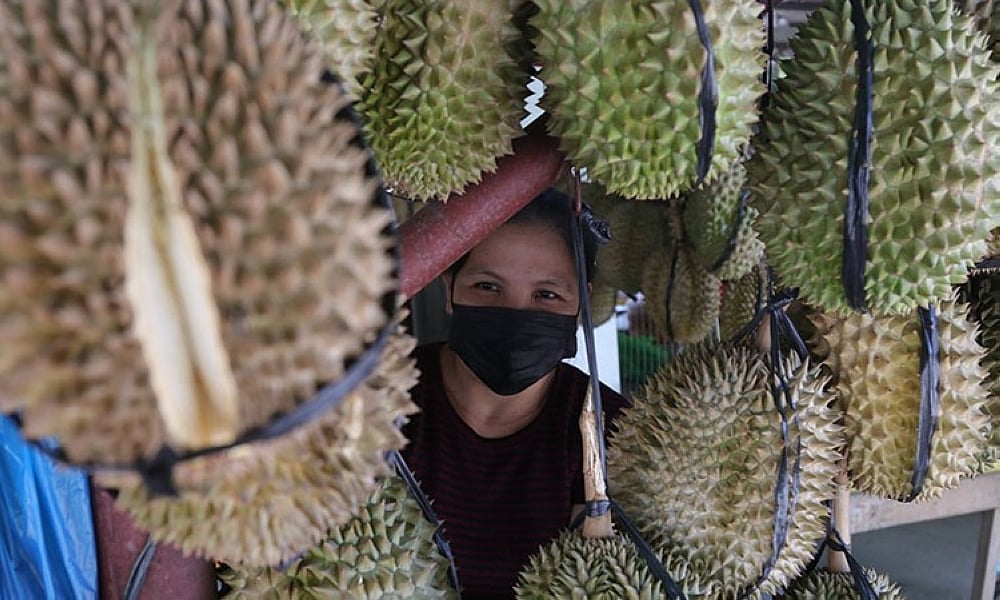 Envoy sees potential of Davao durian in Australia