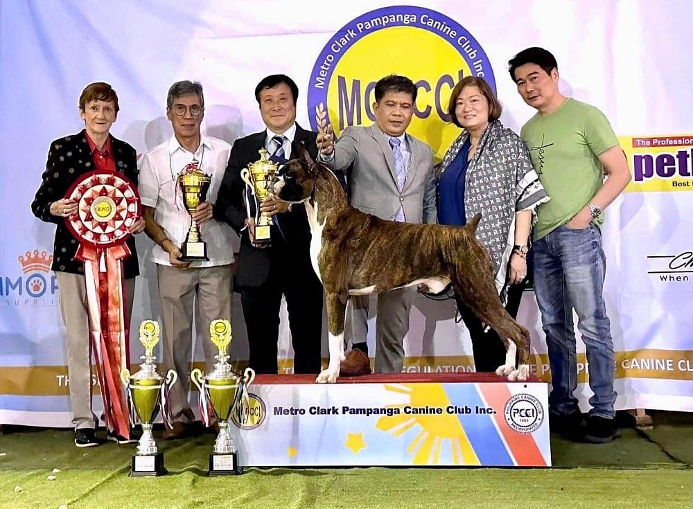 2022 Top Philippine-born show dog is from Cebu