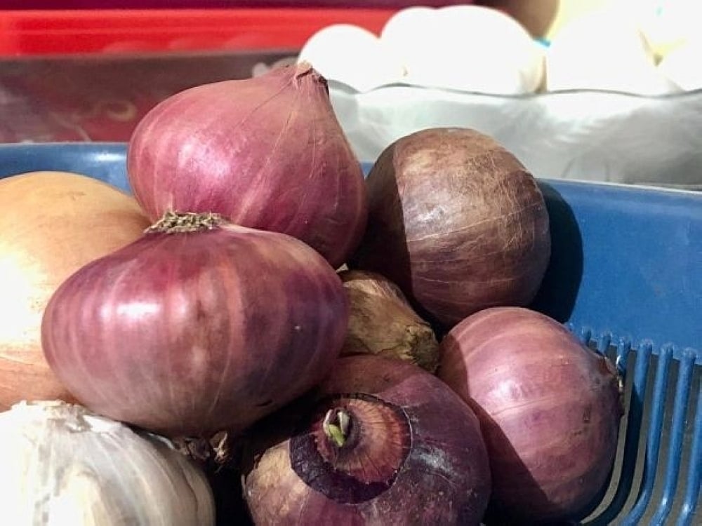 Presyo sa sibuyas mokunhod?