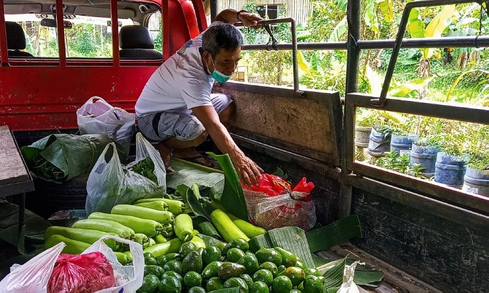 Organic farmers seek help in transporting products