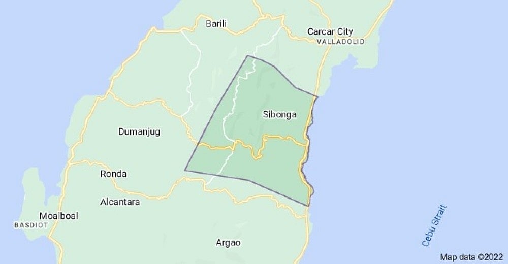 Farmer with hack wounds found in Sibonga