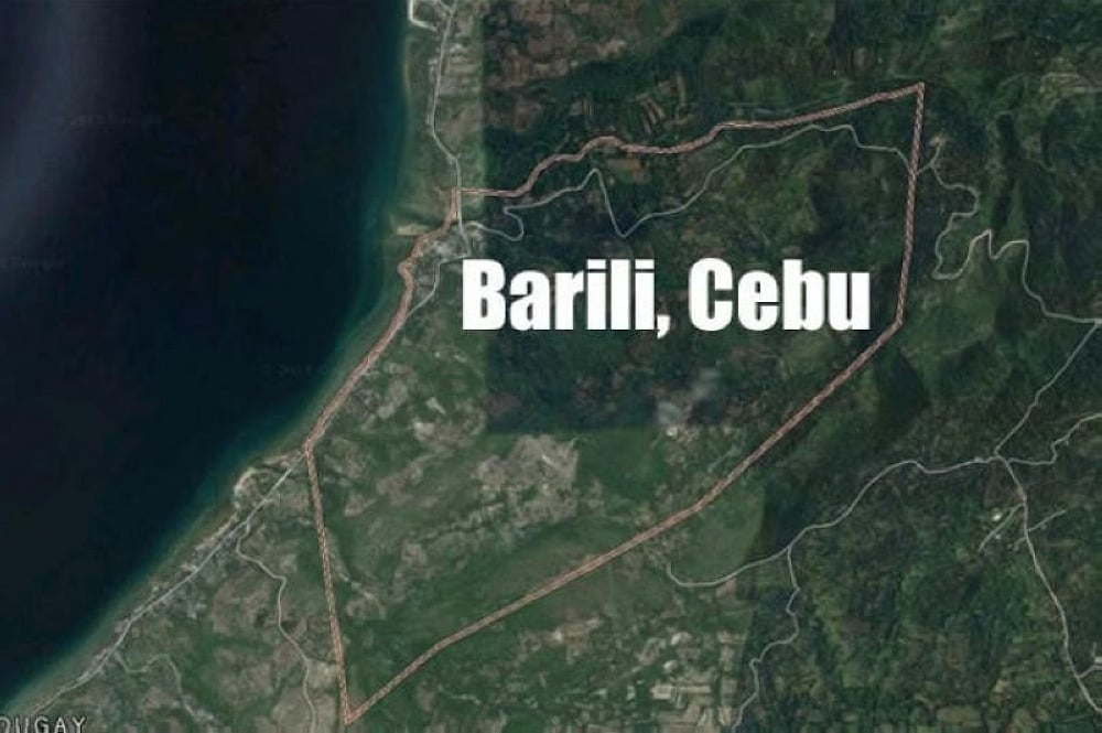 Painter dies from motorcycle accident in Barili