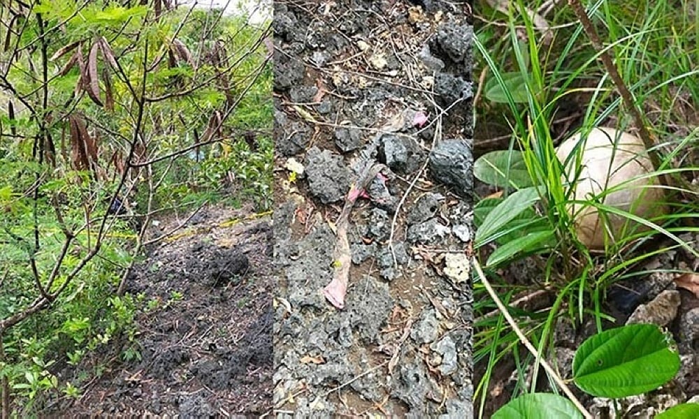 Kalabera napalgan sa kalibunan sa Danao City