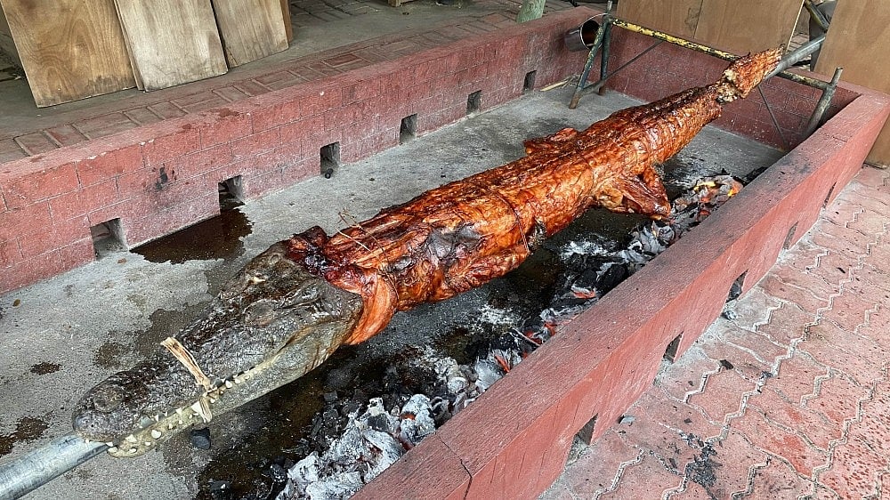 Crocodile lechon, anyone?