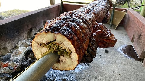 Crocodile lechon, anyone?