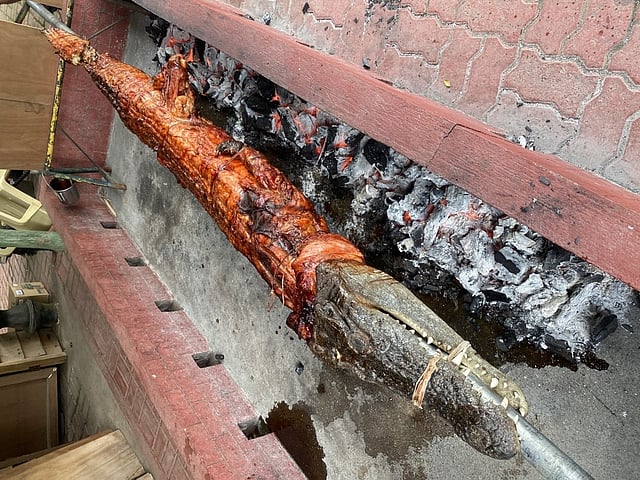 Crocodile lechon, anyone?