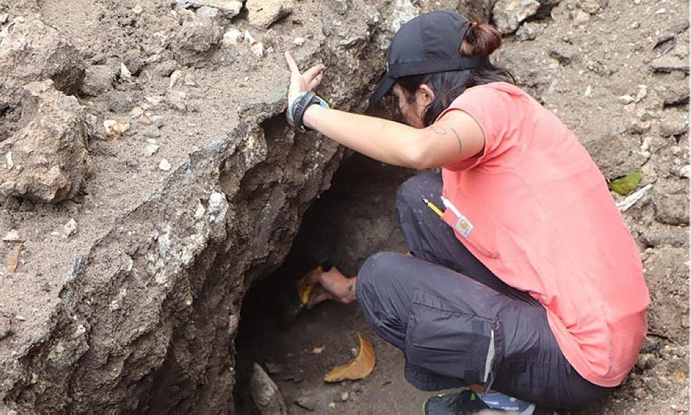 Mainampingon nga pagkuykoy sa mga antique, kalabera ipahigayon