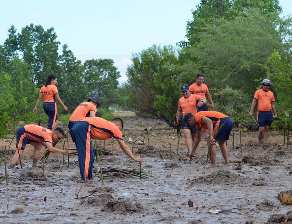 PCG holds mangrove planting, coastal cleanup