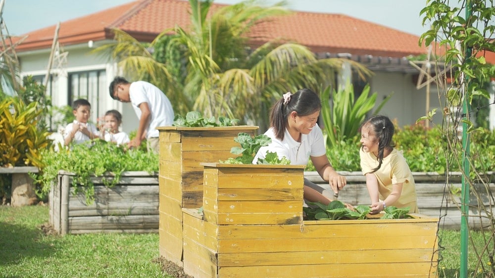 Modern farm life awaits in Mindanao's first agri-tourism city