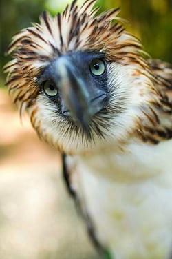 7 unique experiences in Davao Region