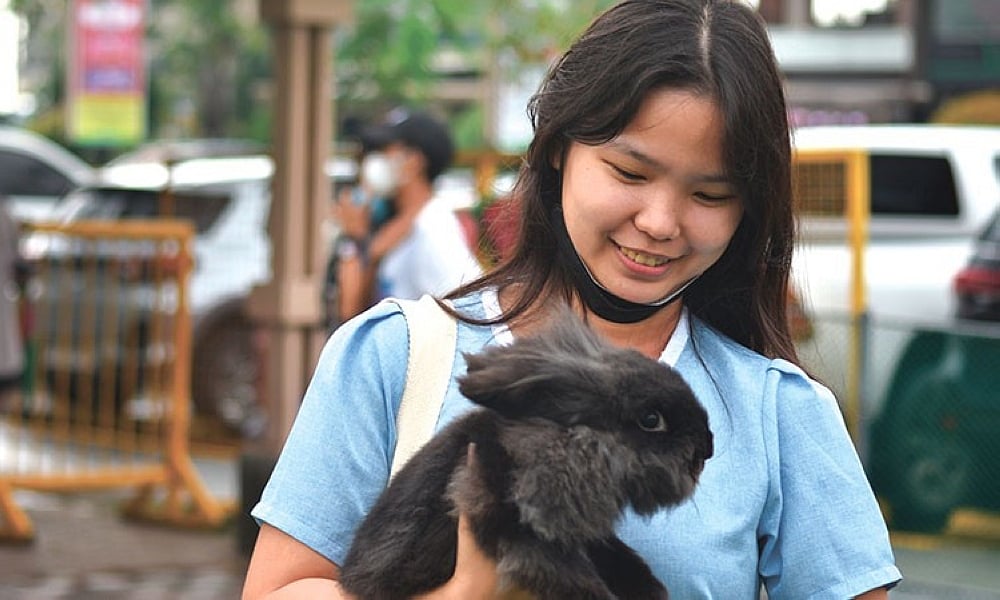 Where the wild things are: Exotic pets of Cebu