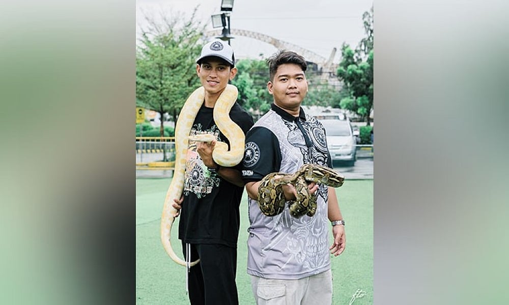 Where the wild things are: Exotic pets of Cebu
