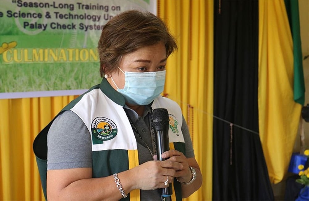 Enriquez back as DA 7 director