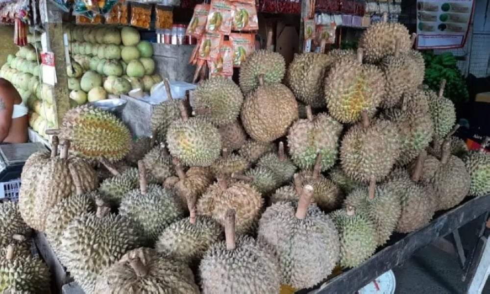 Davao City eyes to create durian development plan involving private lands