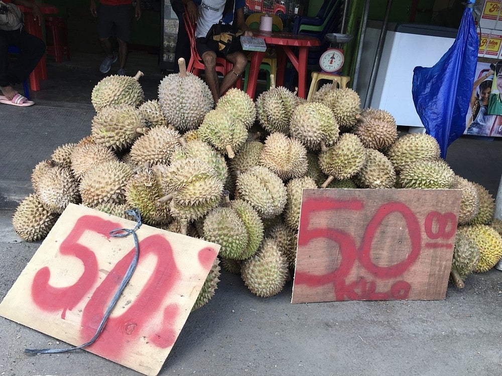 Durian price drops to P50/kg