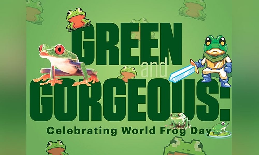 Green and gorgeous: Celebrating World Frog Day