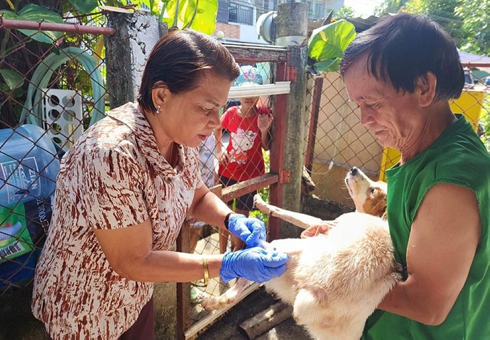 A happy tale on Stray Animals Day: Tatay's unwavering love for stray dogs
