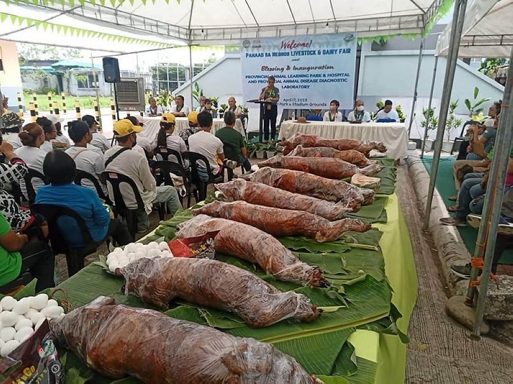 Lechon parade proof Negros Occidental remains ASF-free